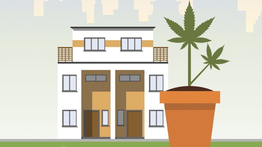 Le cannabis en habitation | Bloc Pot | Légalisation du cannabis
